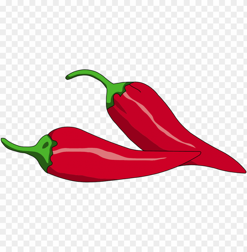 Free download | HD PNG spices vector PNG transparent with Clear ...