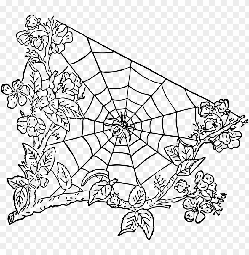 Free download | HD PNG spider spider web halloween spider web ...
