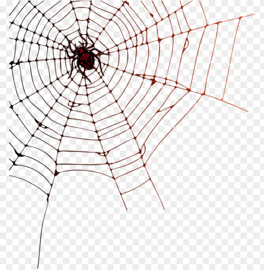 Free download | HD PNG spider web png images background - image ID is ...
