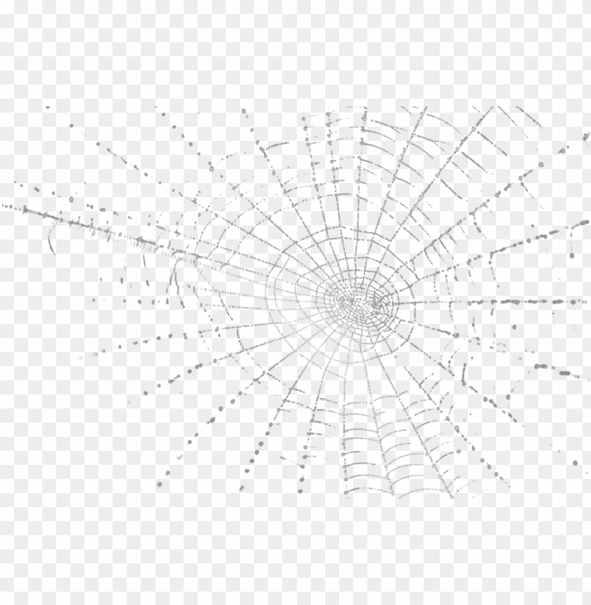 Free download | HD PNG spider web spider web psd PNG transparent with ...