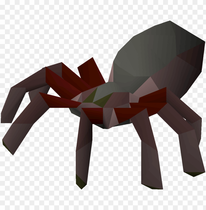 Free download | HD PNG spider wiki PNG transparent with Clear ...