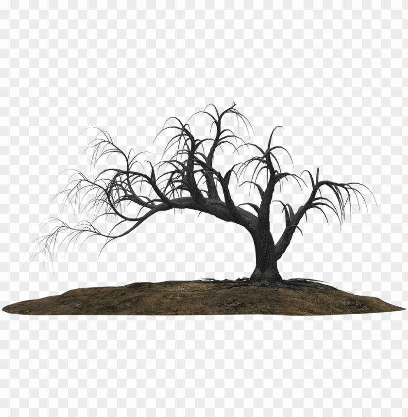 Free download | HD PNG spooky trees png png royalty free creepy trees ...