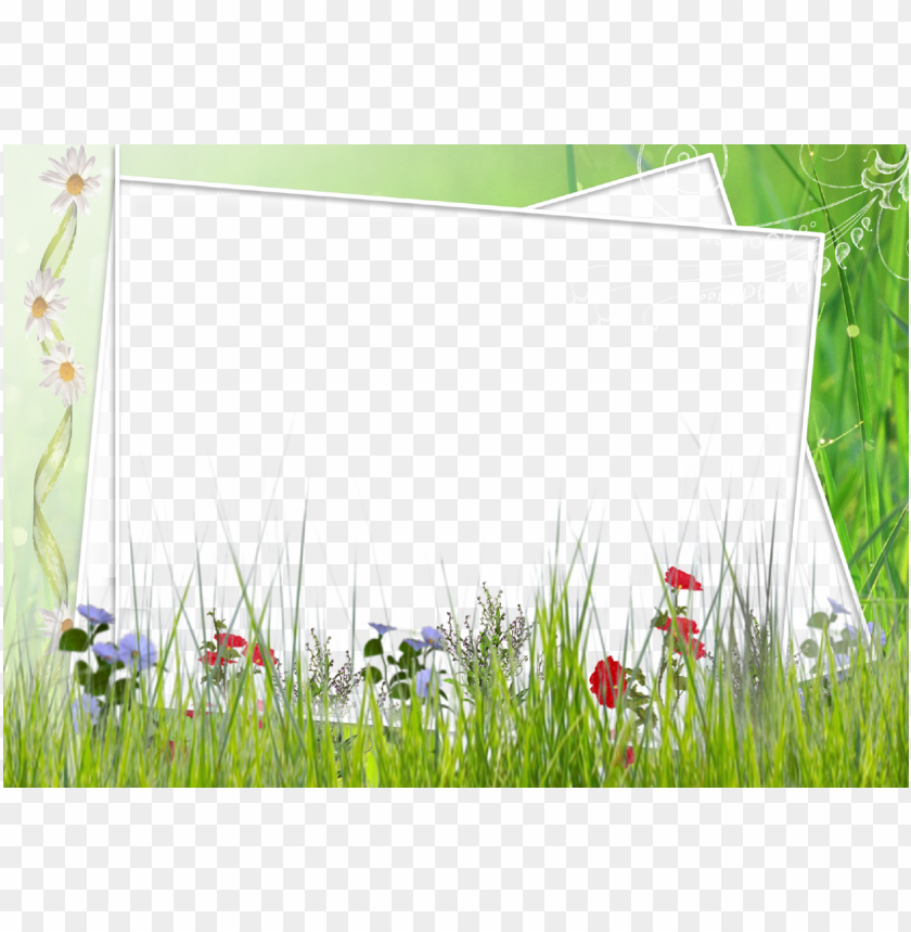 Free download | HD PNG spring border png PNG transparent with Clear ...