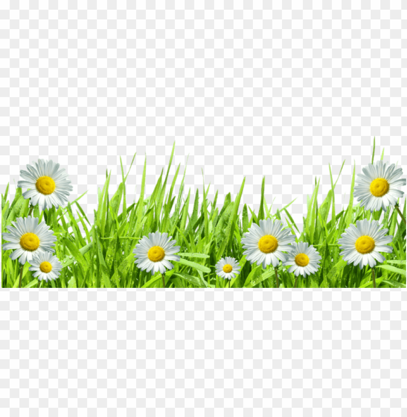 Free download | HD PNG spring border png PNG transparent with Clear ...