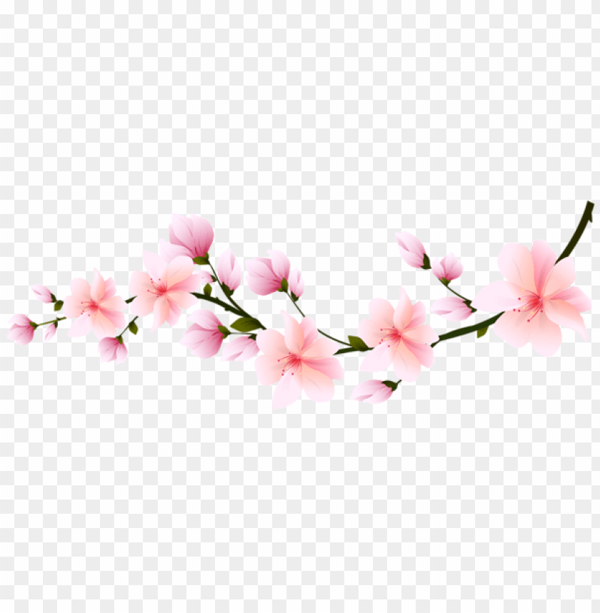 Free download | HD PNG PNG image of spring branch transparent with a ...
