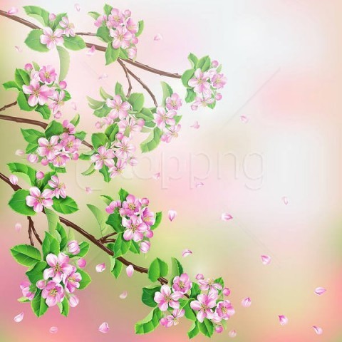 Free download | HD PNG blooming spring branches 4k nature wallpaper ...