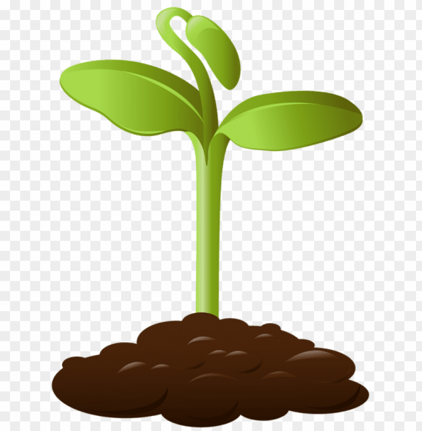 Free download | HD PNG PNG image of spring crop transparent with a ...