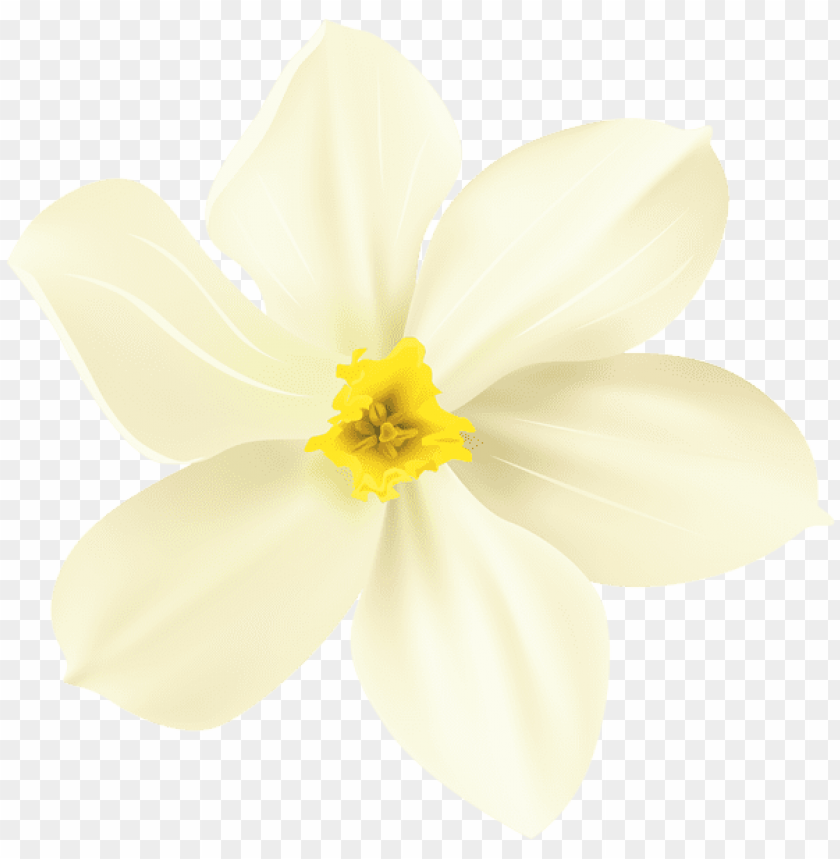 Free download | HD PNG PNG image of spring flower decorative ...