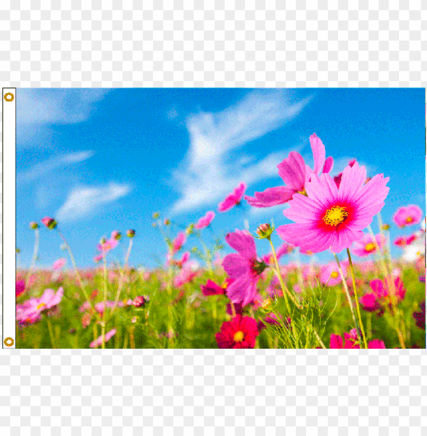 Free download | HD PNG spring flowers flag PNG transparent with Clear ...