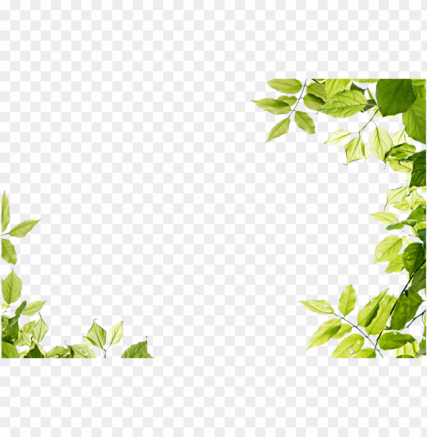 Free download | HD PNG spring frame png PNG transparent with Clear ...