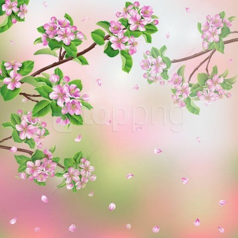 Free download | HD PNG spring pink branches background best stock ...