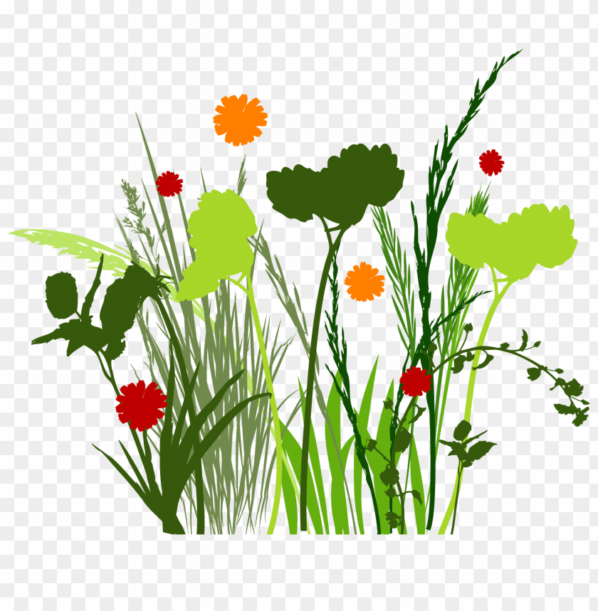 Free download | HD PNG spring png PNG transparent with Clear Background ...