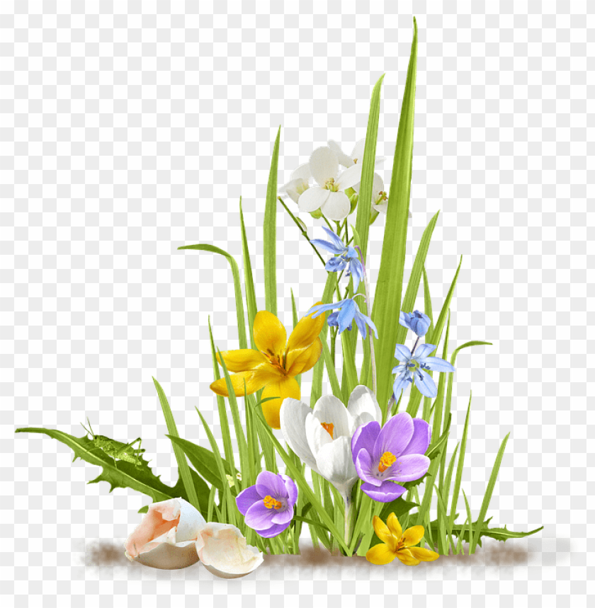 Free download | HD PNG spring png PNG transparent with Clear Background ...