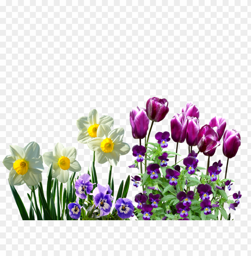 Free download | HD PNG spring png PNG transparent with Clear Background ...