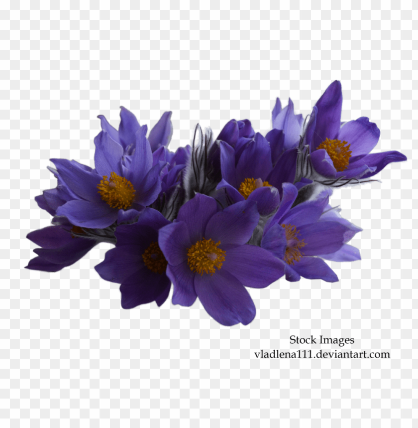 Free download | HD PNG spring png PNG transparent with Clear Background ...