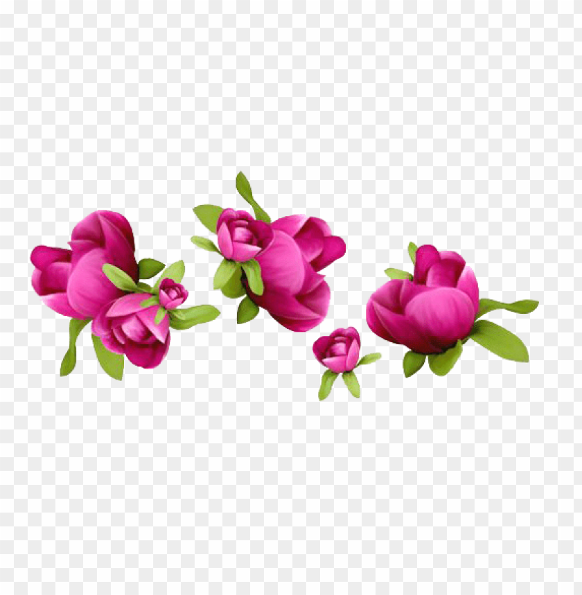 Free download | HD PNG spring png PNG transparent with Clear Background ...