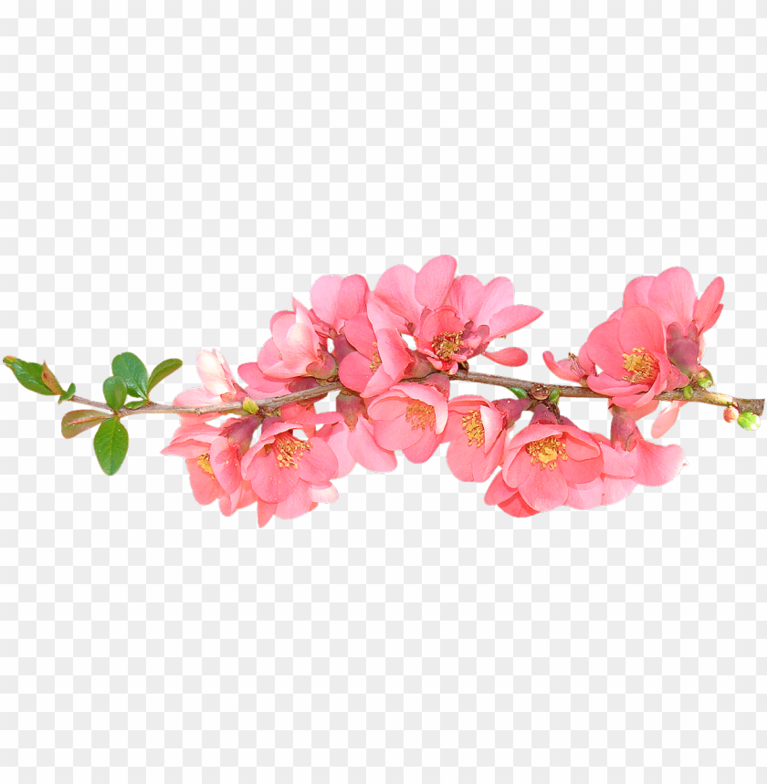 Free download | HD PNG spring png PNG transparent with Clear Background ...