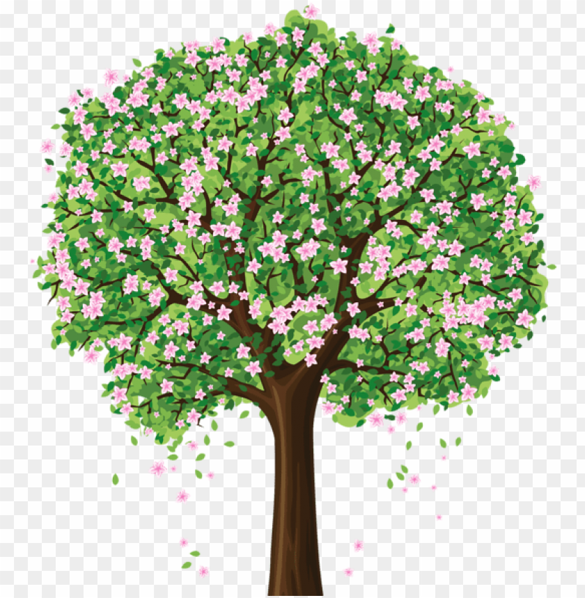 Free download | HD PNG spring tree PNG transparent with Clear ...