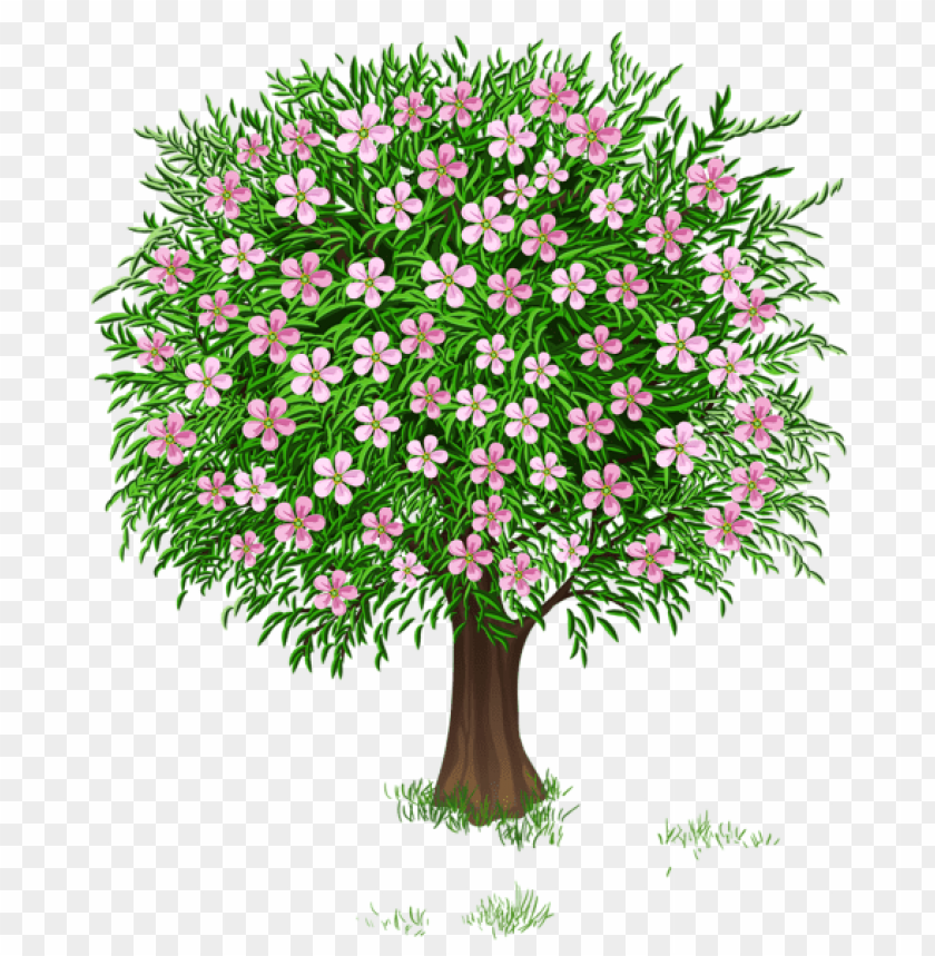 Free download | HD PNG PNG image of green tree with small white flowers ...