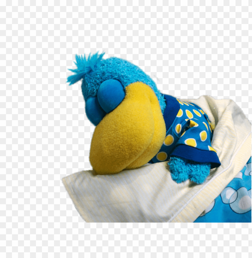 Free download | HD PNG squacky sleeping clipart png photo - 67001 | TOPpng