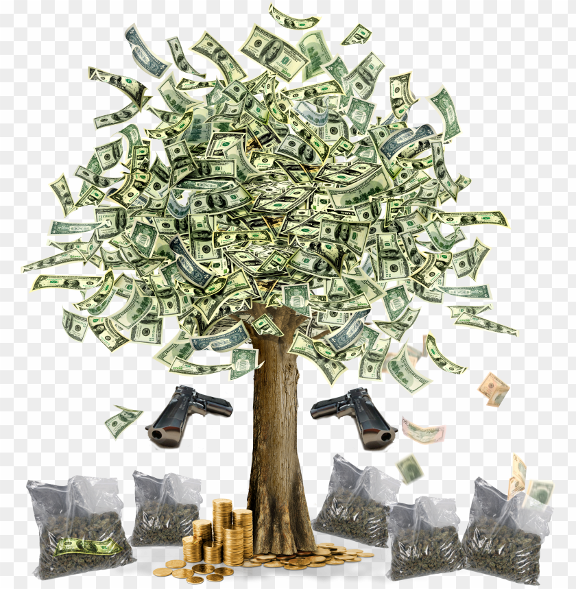 Free download | HD PNG sss money tree images hd PNG transparent with ...