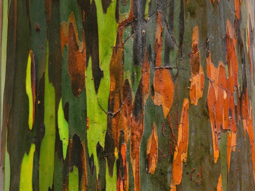 Free download | HD PNG stains paint rust texture surface 4k wallpaper ...