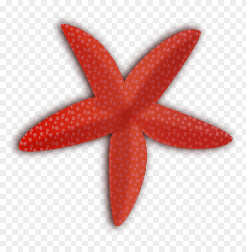 Free download | HD PNG starfish png PNG transparent with Clear ...