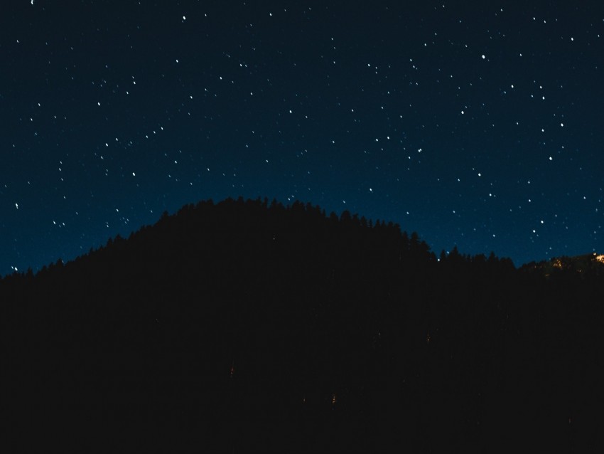 Free download | HD PNG starry sky night trees stars shine sky 4k wallpaper | TOPpng