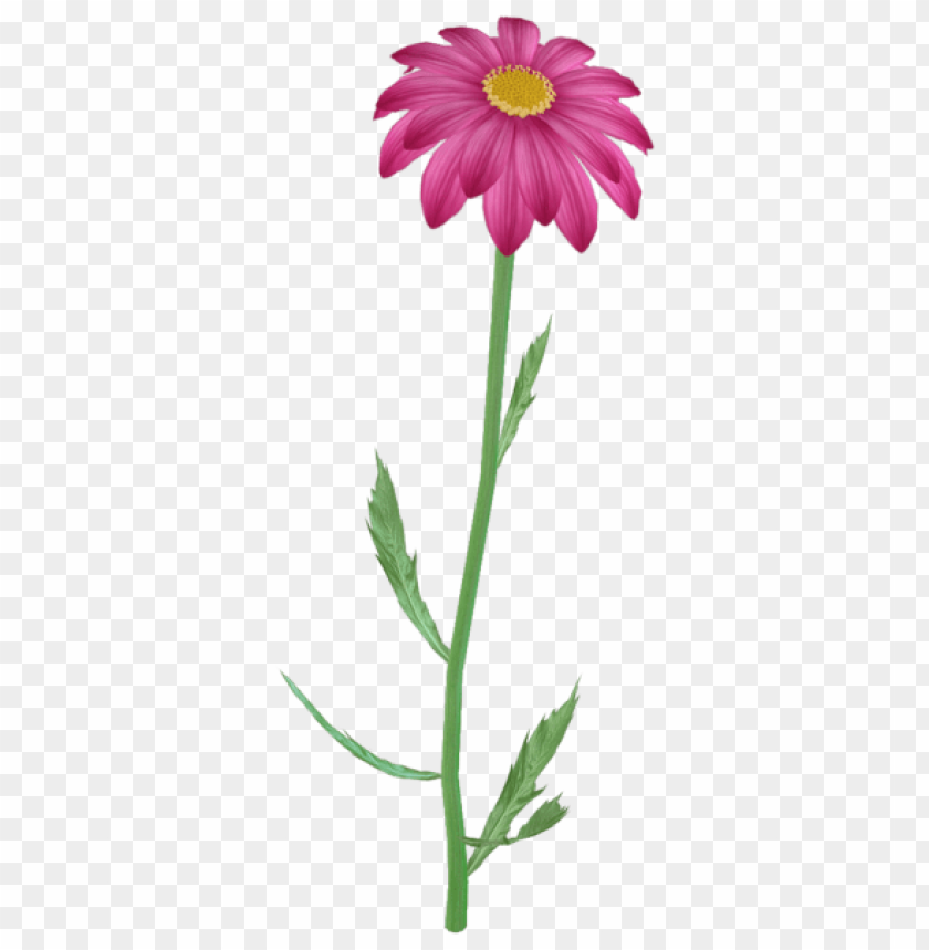 Free download | HD PNG PNG image of steam pink flower with a clear ...