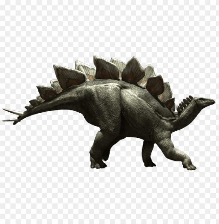 Free download | HD PNG stegosaurus PNG transparent with Clear ...