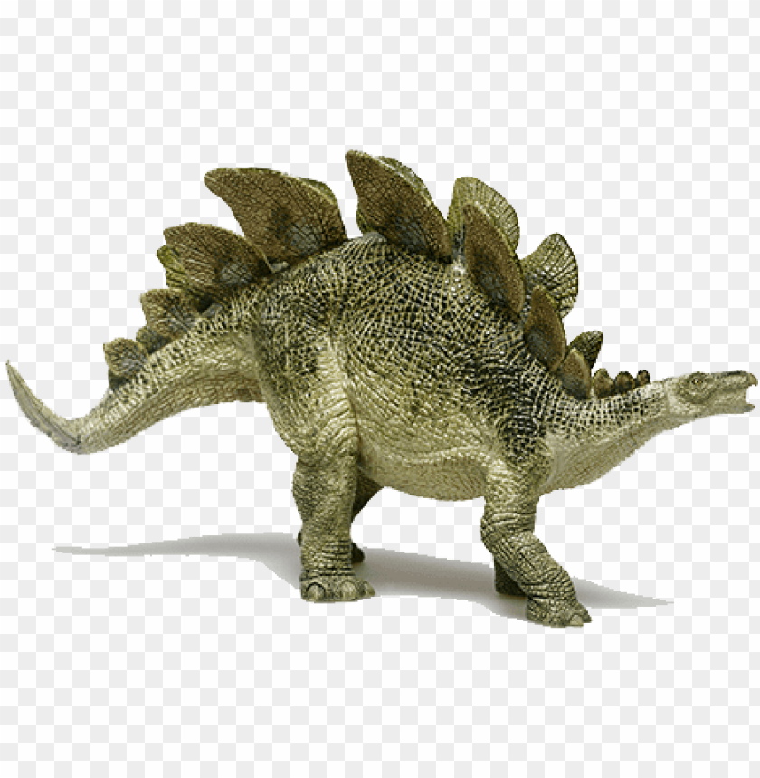 Free download | HD PNG stegosaurus dinosaur from jurassic period PNG ...