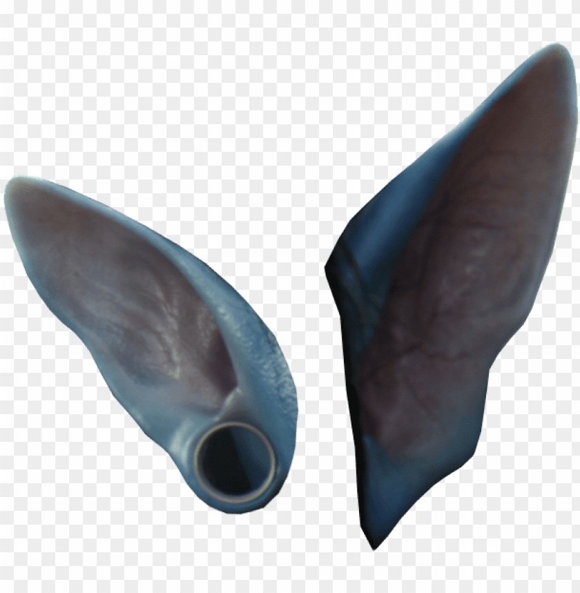 Free download | HD PNG step avatar na vi ears PNG transparent with ...