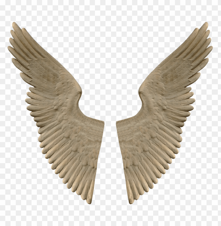 Free download | HD PNG stone angel wings PNG transparent with Clear ...