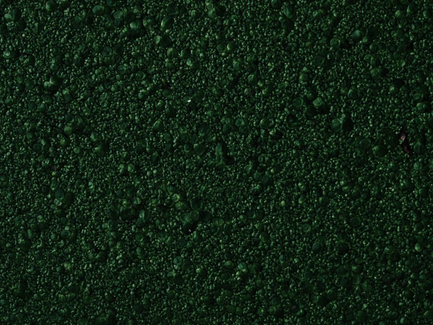Free download | HD PNG stones green texture surface 4k wallpaper | TOPpng