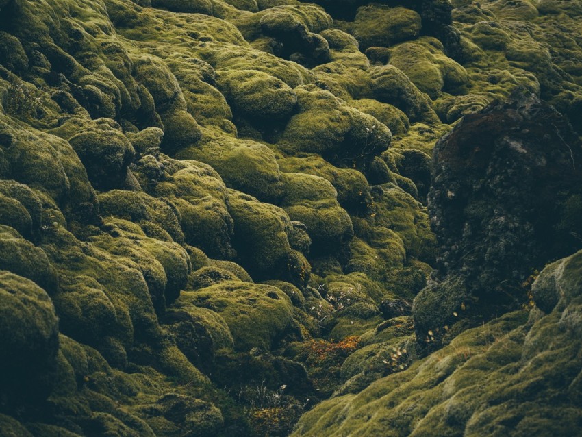Free download | HD PNG stones moss covered iceland pale green 4k ...