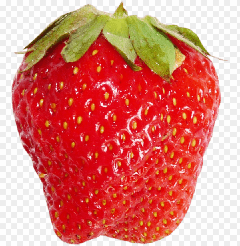 Free download | HD PNG single strawberry on white background png PNG ...