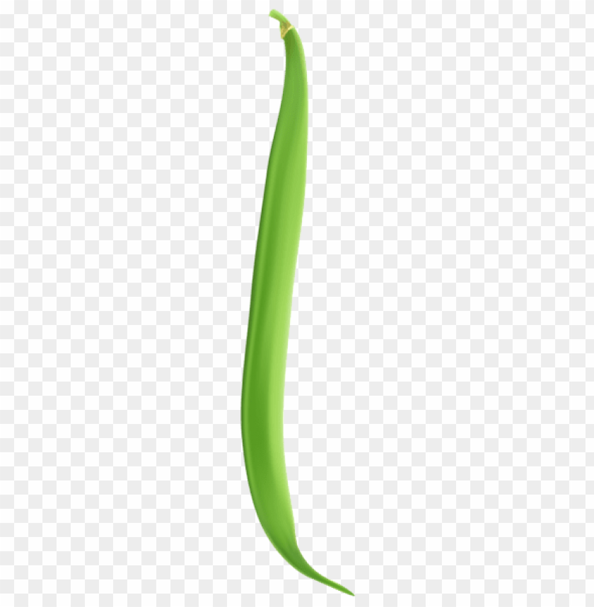 Free download | HD PNG Transparent single green string bean with curved ...