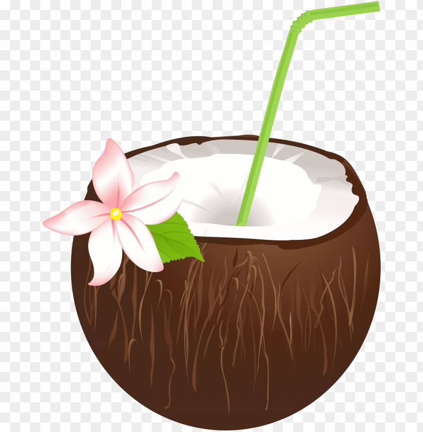 Free download | HD PNG summer coconut drink png clip art image PNG ...