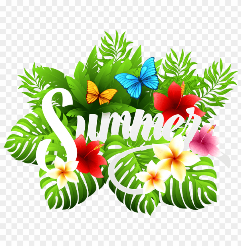 Free download | HD PNG summer decorative clipart png photo - 54303 | TOPpng