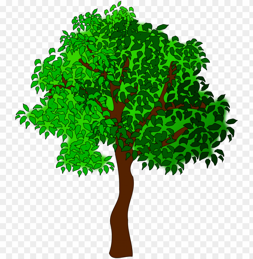 Free download | HD PNG summer tree PNG transparent with Clear ...