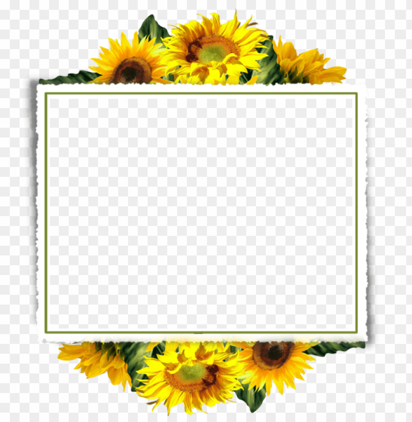 Free download | HD PNG sunflower frame png PNG transparent with Clear ...