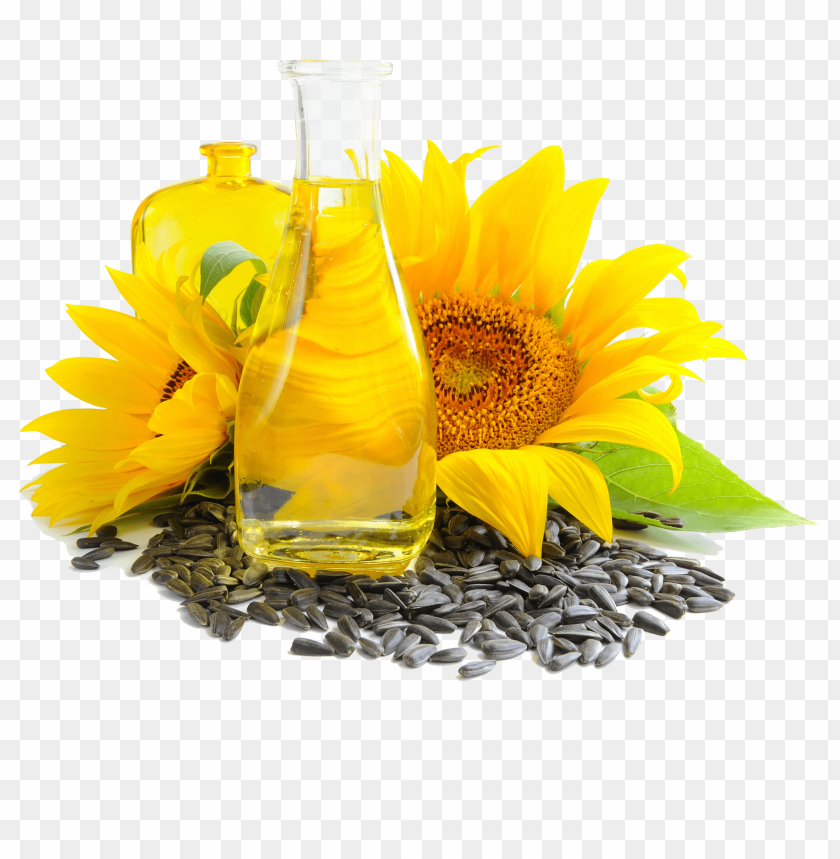 Free download | HD PNG sunflower seed png PNG transparent with Clear ...