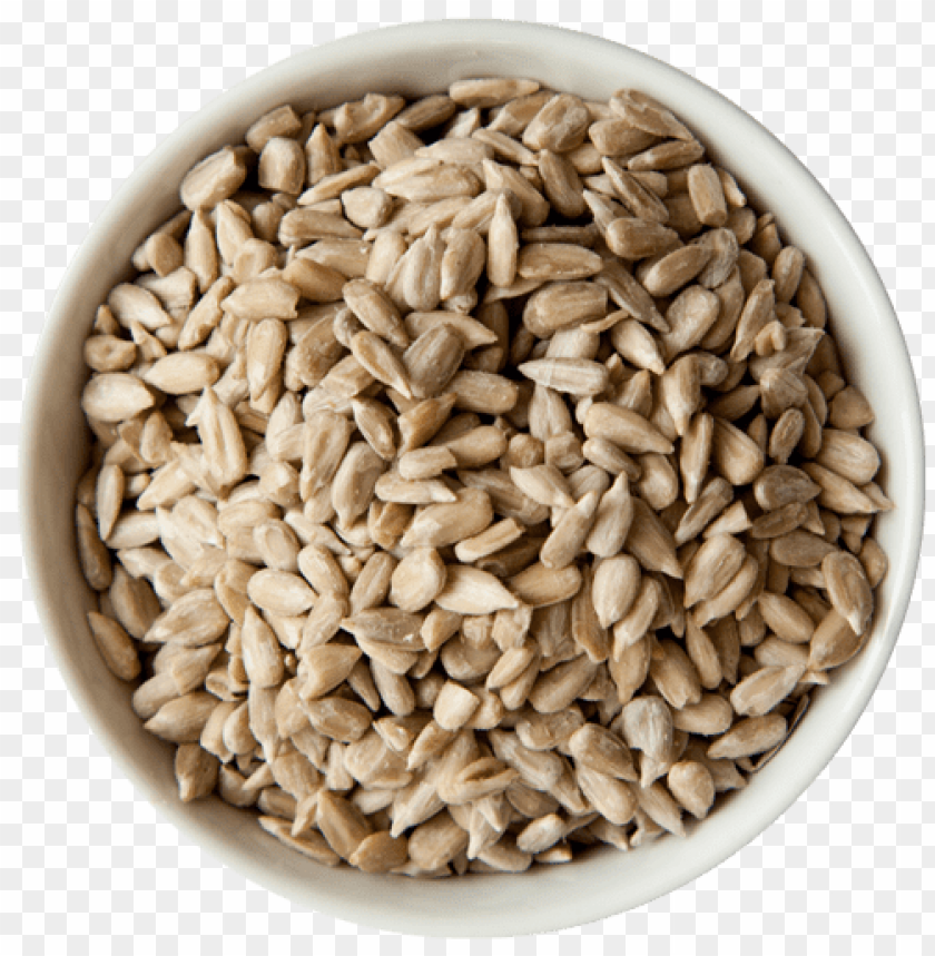 Free download | HD PNG sunflower seed png PNG transparent with Clear ...