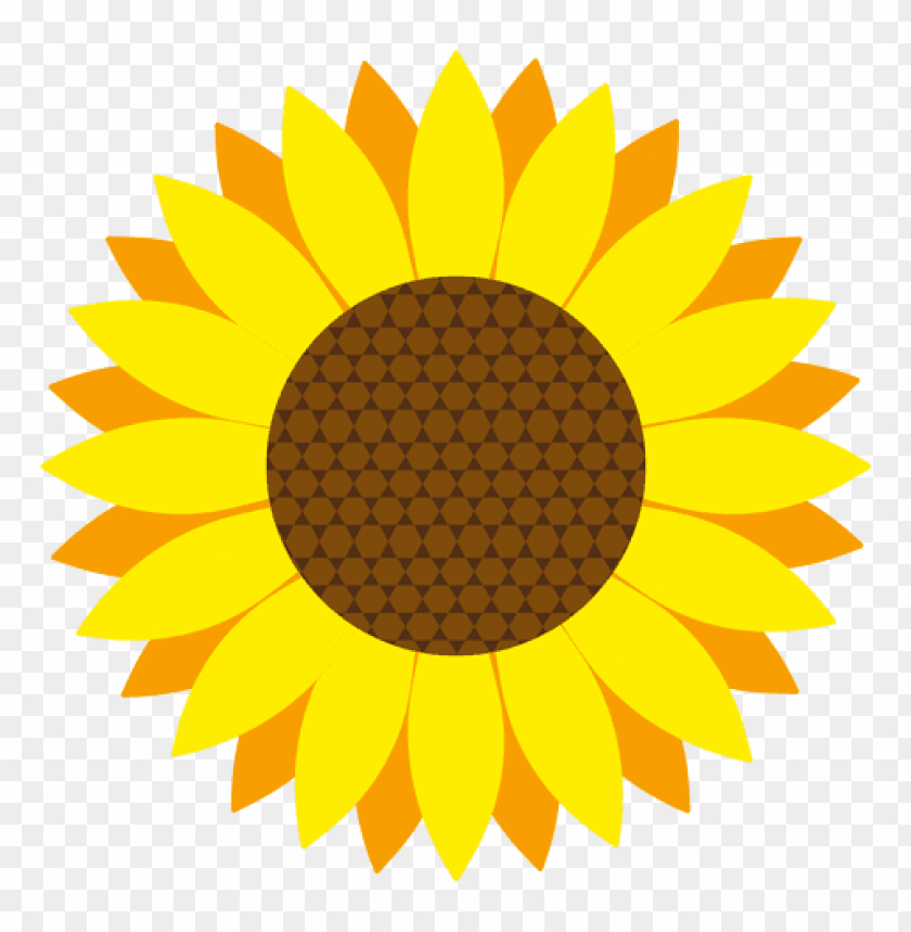 Free download | HD PNG sunflower vector png PNG transparent with Clear ...