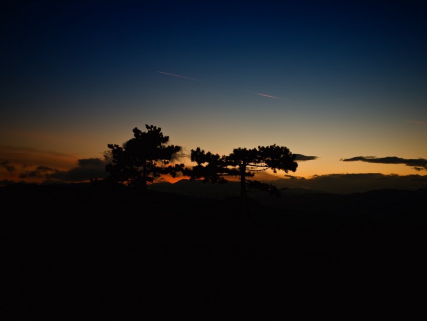 Free download | HD PNG sunset trees sky horizon dark clouds 4k ...