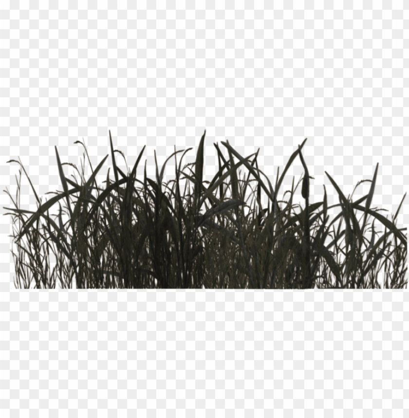 Free download | HD PNG swamp grass 02 by wolverine04 swamp PNG ...