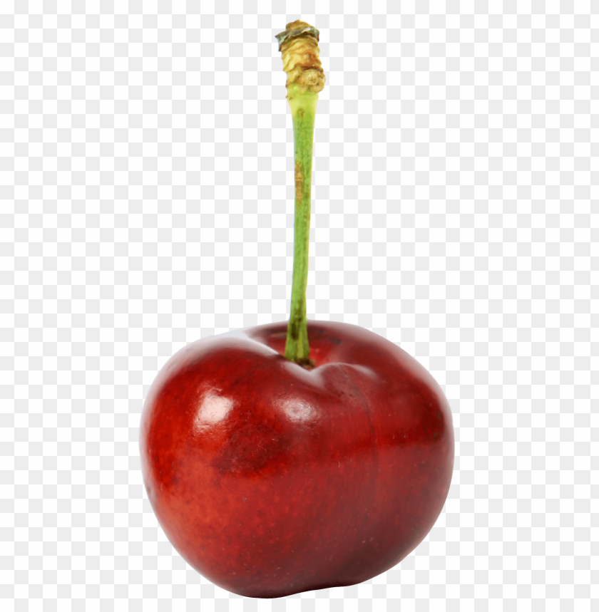 Free download | HD PNG single cherry with stem illustration | TOPpng