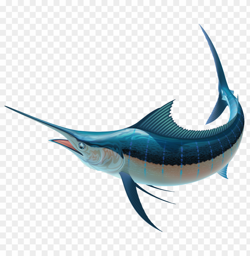 Free download | HD PNG realistic swordfish illustration clipart png ...