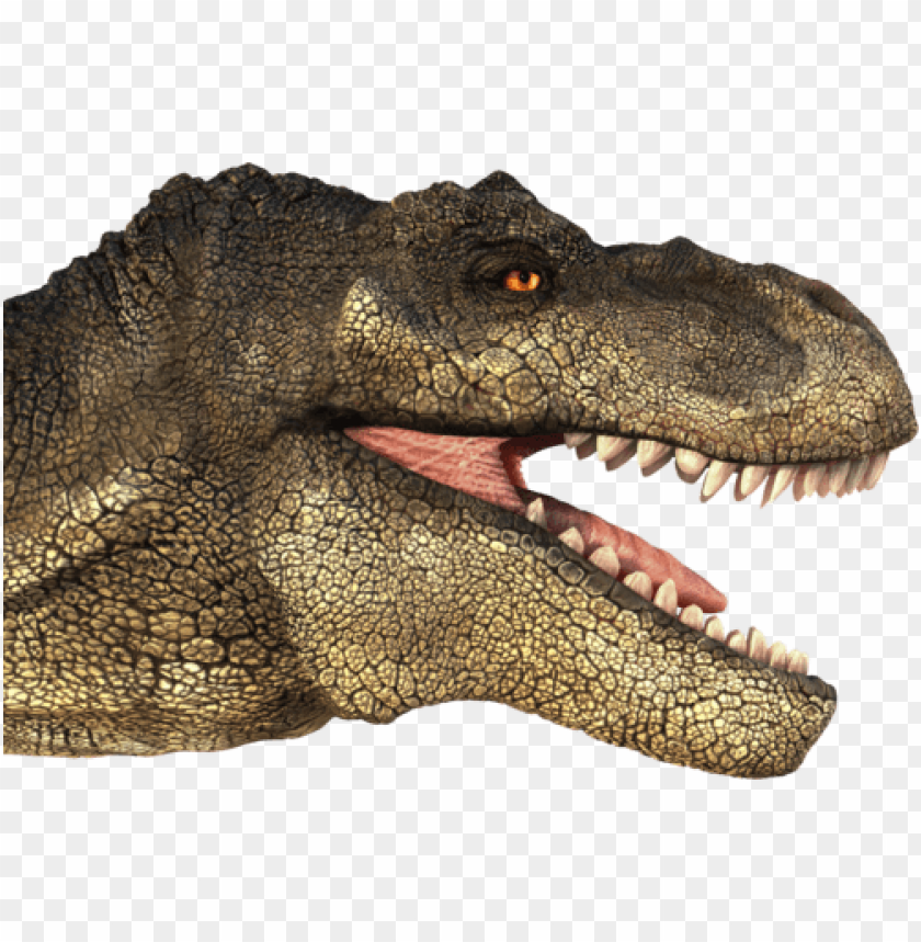 Free download | HD PNG t rex transparent images t rex head PNG ...
