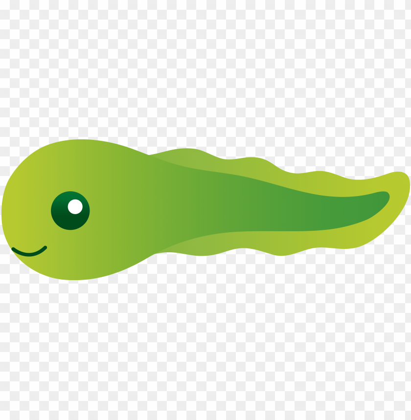 Free download | HD PNG tadpole clipart sad tadpole clipart PNG ...